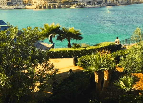 Johannes Larsson - Online Entrepreneur